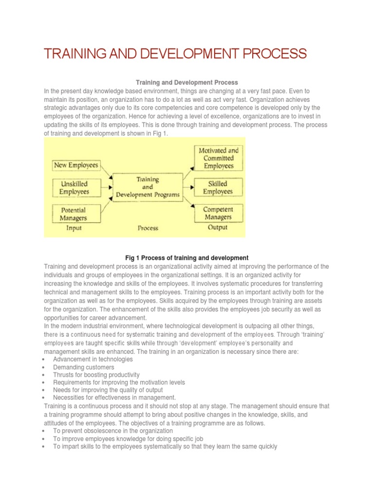 Training and Development Process | PDF | Needs Assessment | Competence ...