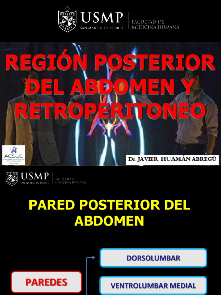 RIÑON | PDF | Términos anatómicos de ubicación | Biología