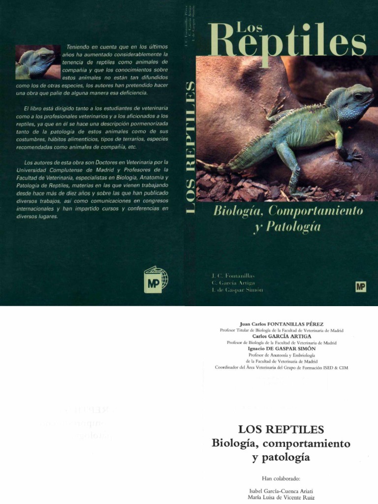 Animales - Los | PDF | Tortuga | Serpiente