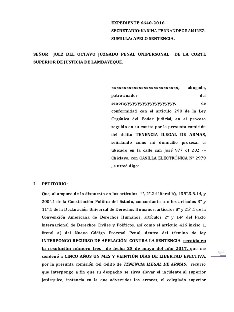 Apelacion de Sentencia Penal | PDF | Castigos | Jurisdicción