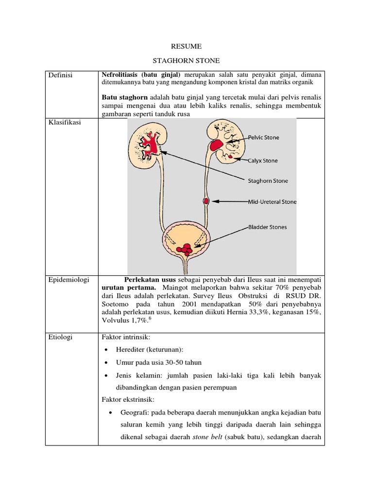 Batu Staghorn Adalah Batu Ginjal Yang Tercetak Mulai Dari Pelvis ...