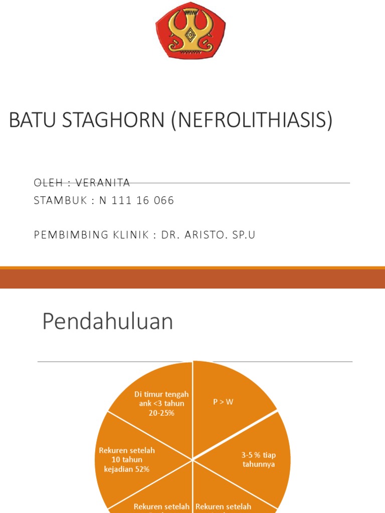 Refka Batu Staghorn | PDF