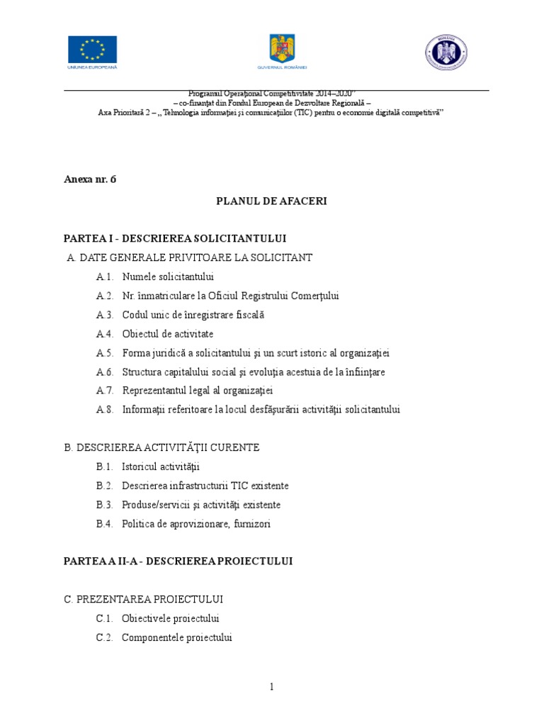Anexa 6 Plan de Afaceri | PDF