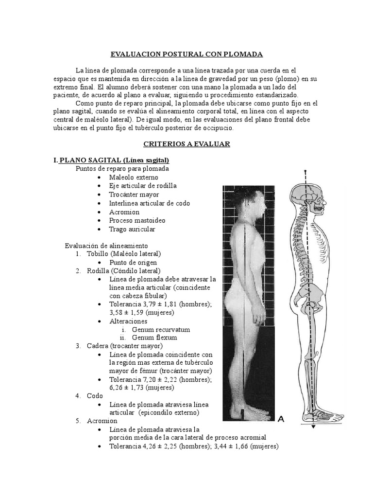 Evaluación Postural con Plomada | PDF | Pie | Sistema musculoesquelético