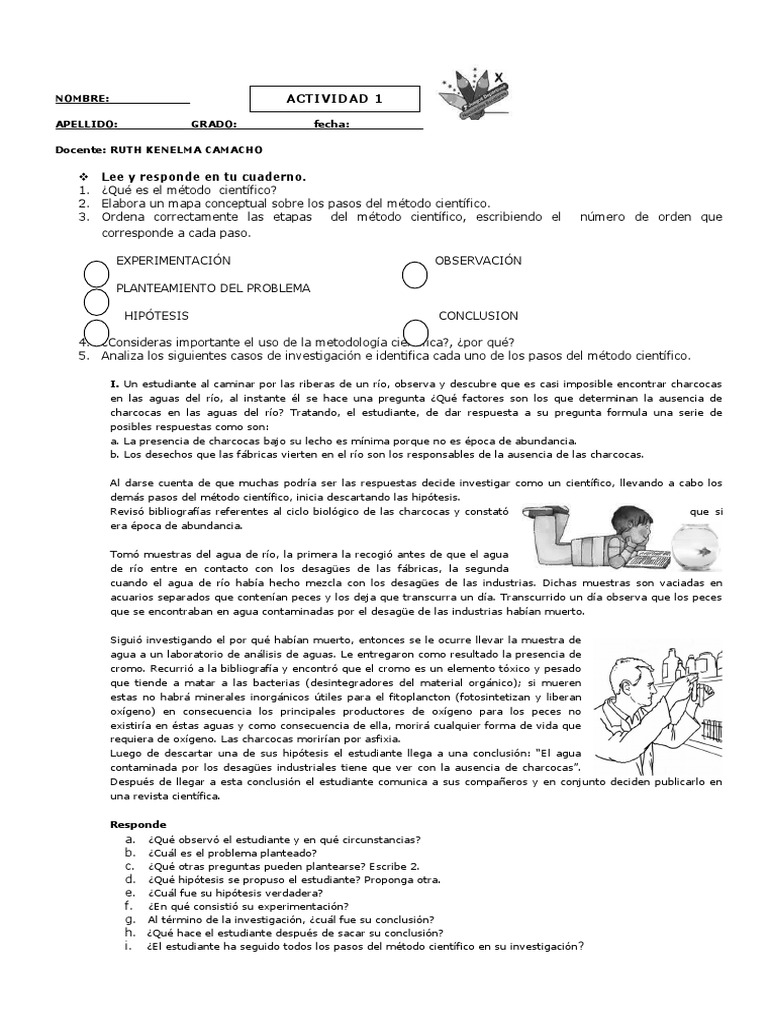 ACTIVIDAD Grado Sexto Metodo Cientifico | PDF | Método científico ...