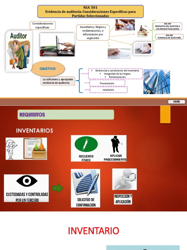 Nia 501 | Contralor | Contabilidad y Auditoria