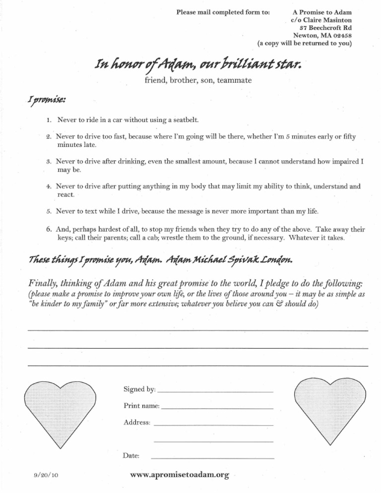 Safe Driving Pledge Form | PDF