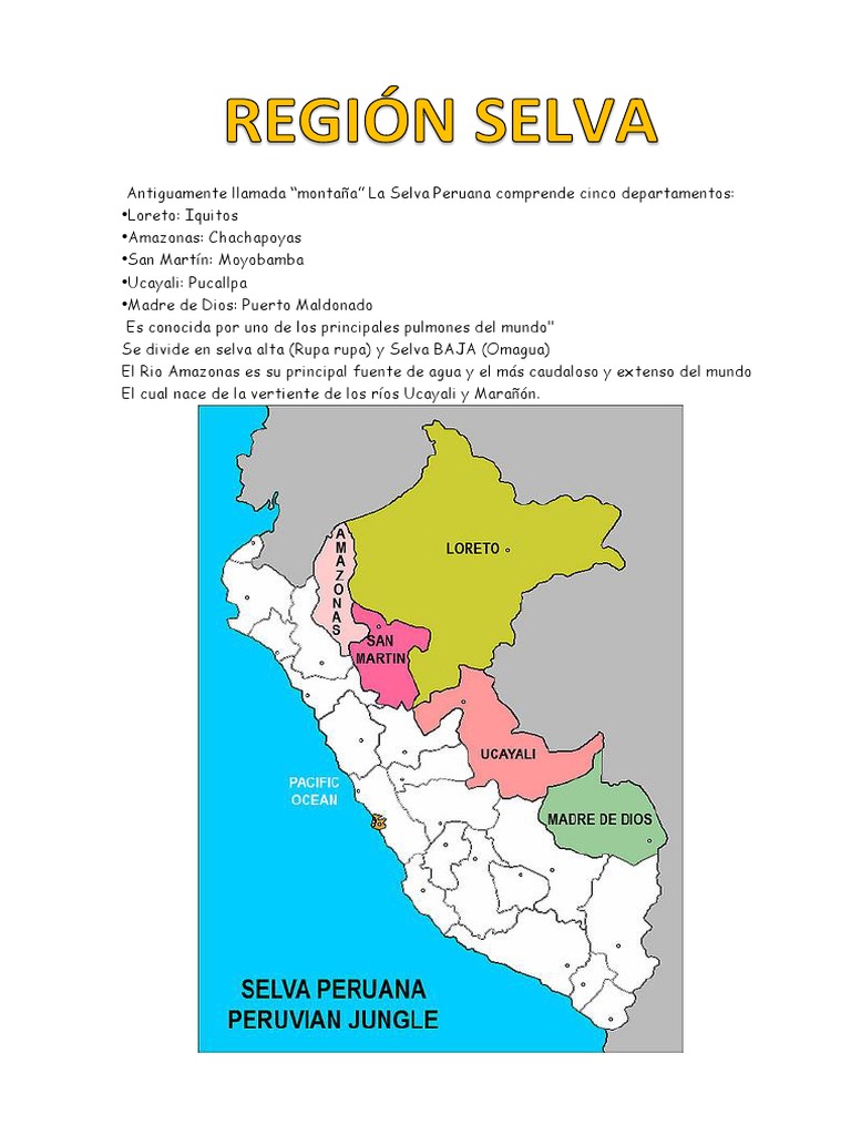 Mapa y Regiones de la Selva Peruana | PDF | Alimentos | Naturaleza