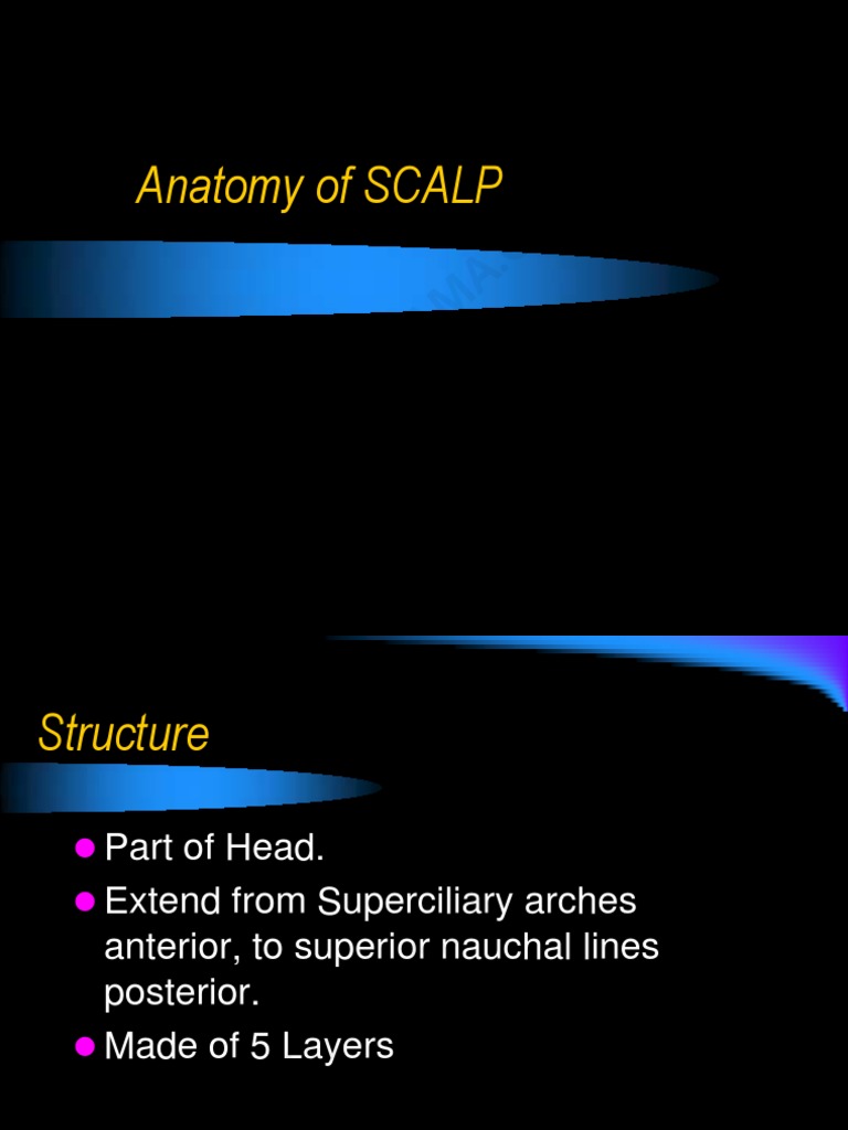 SCALP Anatomy for Dental Students | PDF | Dental Degree | Common ...