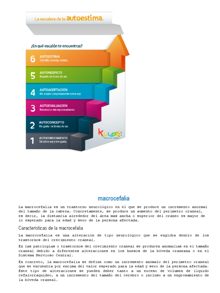 MACROCEFALIA | PDF | Cráneo | Hueso