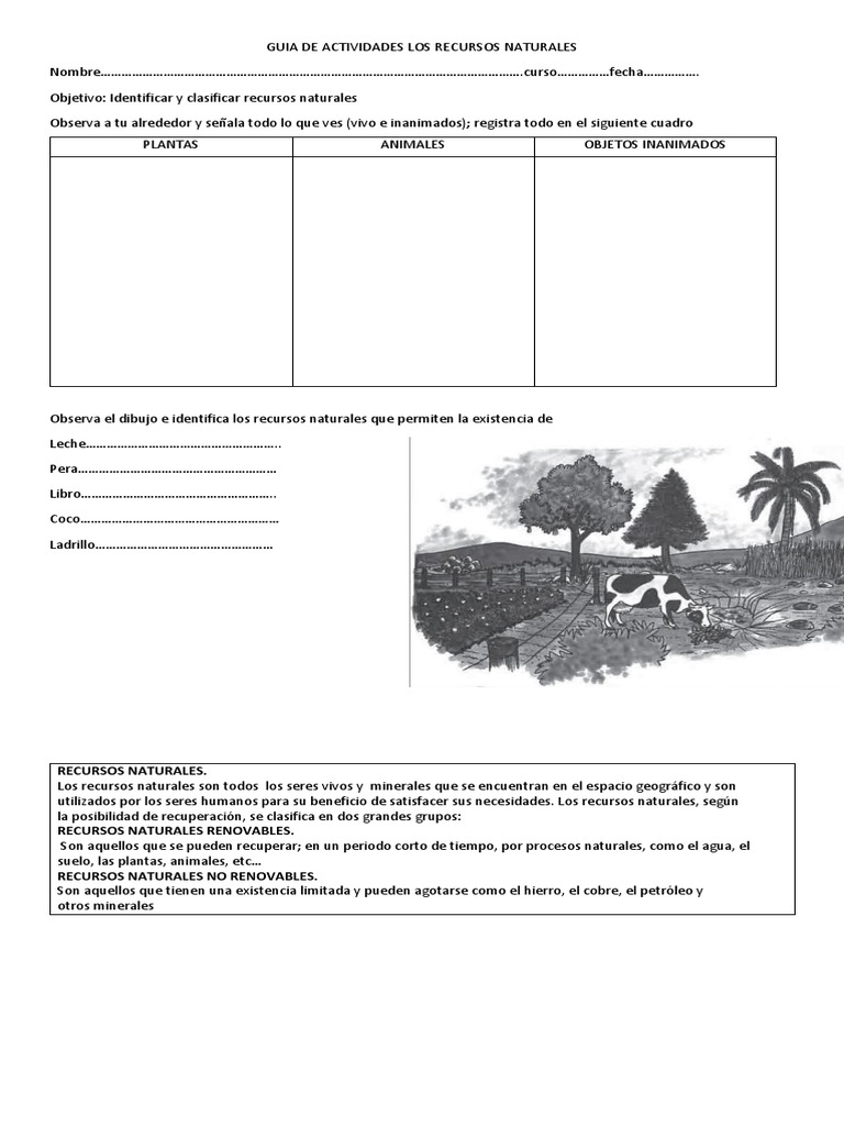 Guia de Actividades Los Recursos Naturales 4° | PDF
