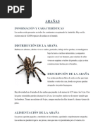 Ciclo de vida y reproducción de arañas | PDF | Araña | Huevo