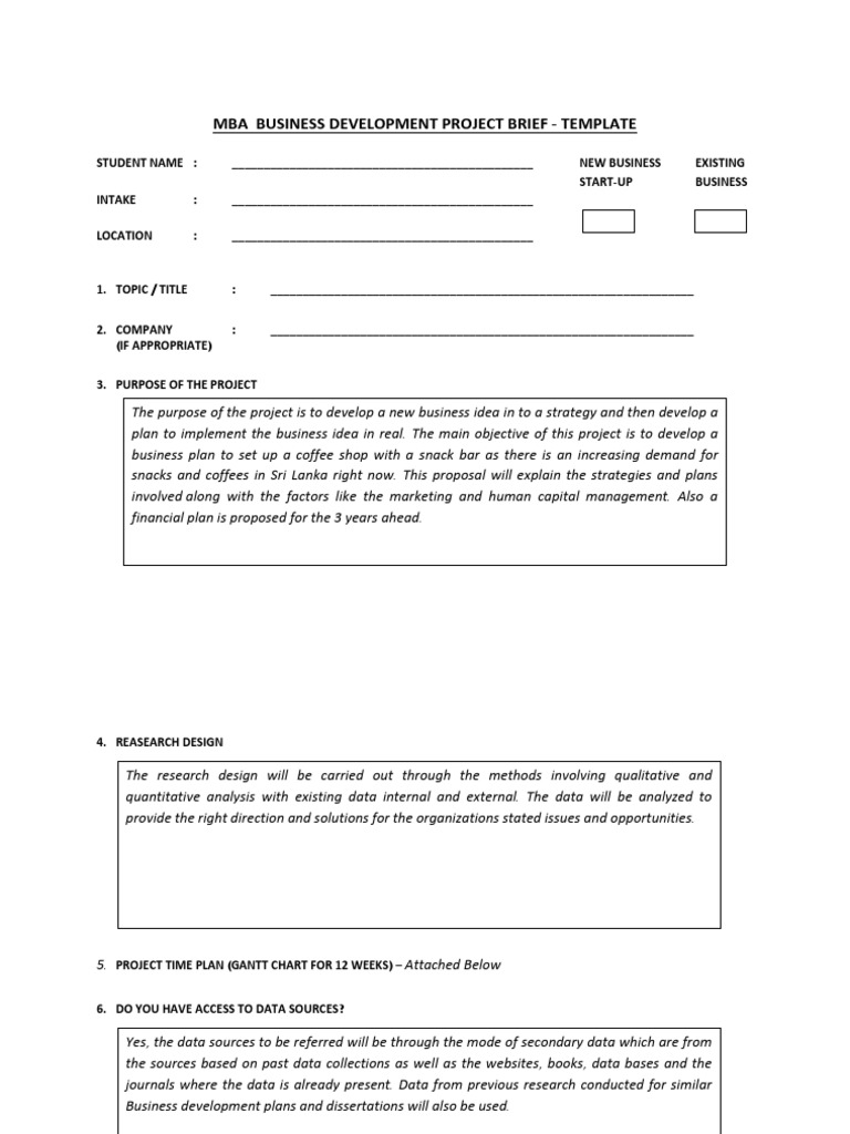 BDP Template | PDF | Data | Business