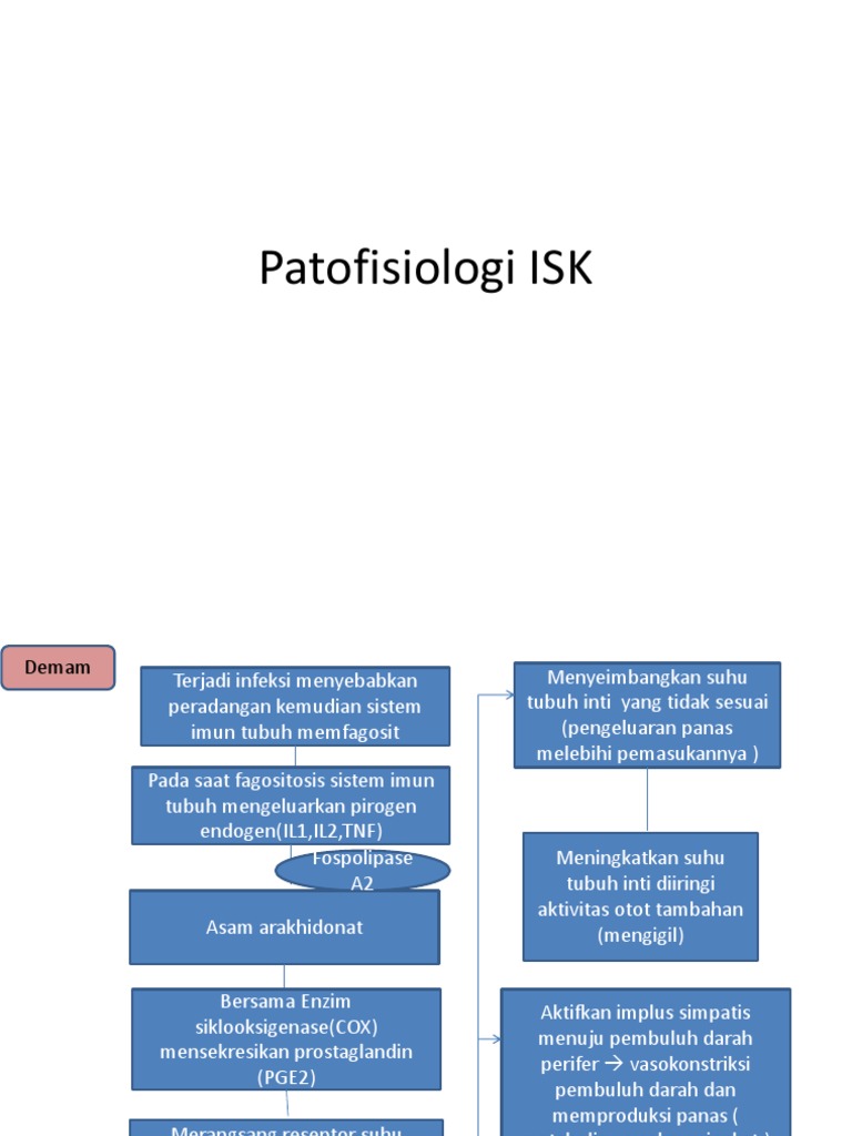 Patofisiologi ISK | PDF