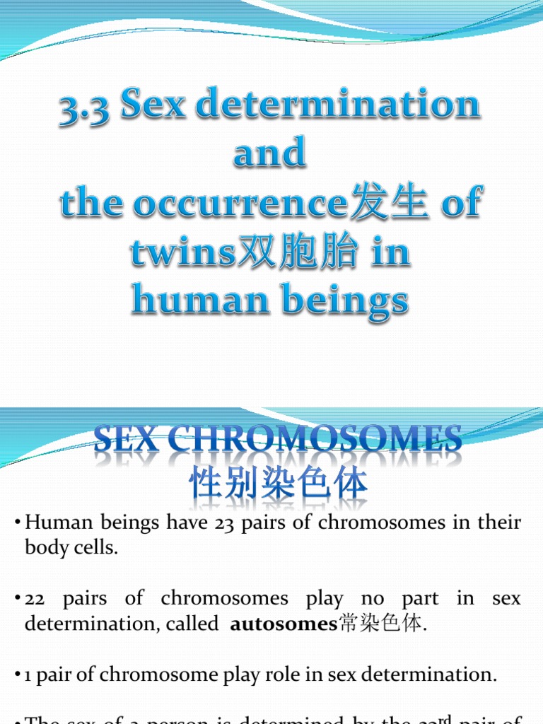 Human Chromosomes and Twin Types | PDF | Twin | Male