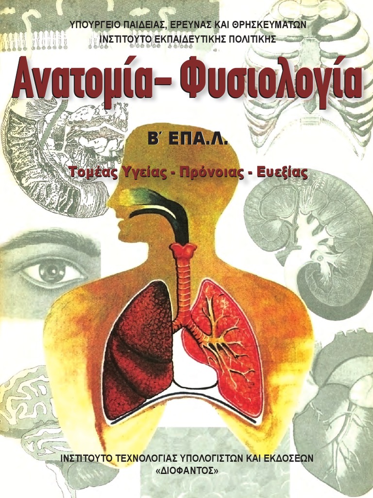 Ανατομια Β ΕΠΑΛ PDF | PDF