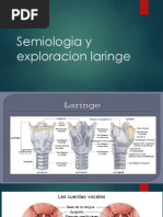 Facies Algicas | PDF | Anatomía humana | Especialidades Medicas