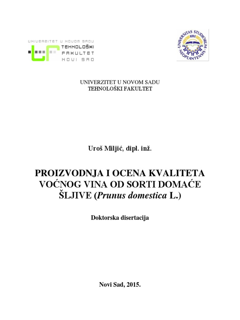Disertacija PDF | PDF