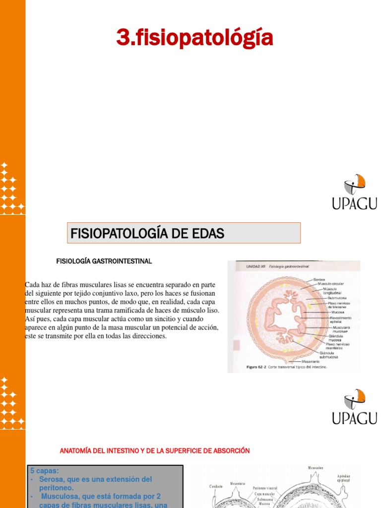 Fisiopatología de las EDAs | PDF | Diarrea | Gastroenterología
