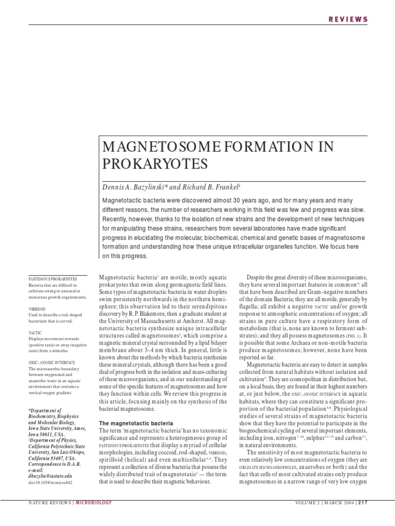 Magnetosome Formation in Prokaryotes | PDF | Bacteria | Biology
