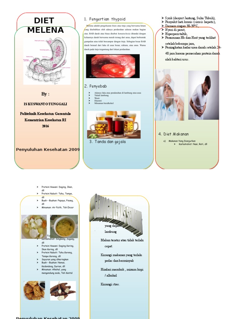 Leaflet Melena | PDF