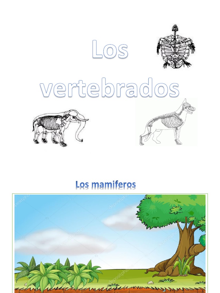 Album de Animales Vertebrados | PDF