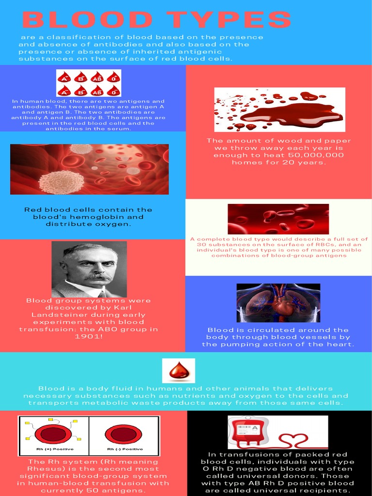 Blood Types: Red Blood Cells Contain The Blood's Hemoglobin and ...