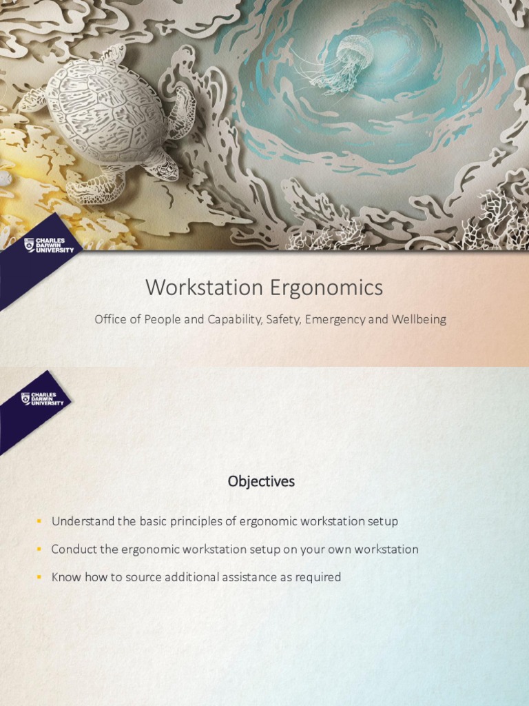 Ergonomic Workstation Presentation | PDF | Chair | Laptop