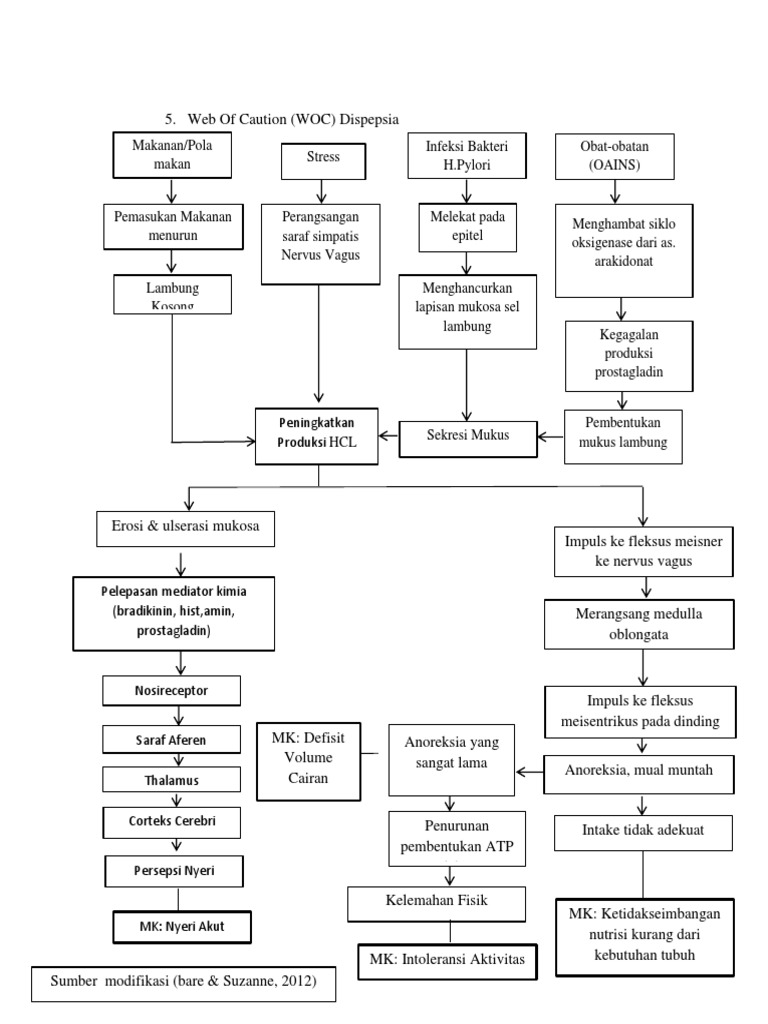 WOC Dispepsia dan Nutrisi Lambung | PDF | Human Anatomy