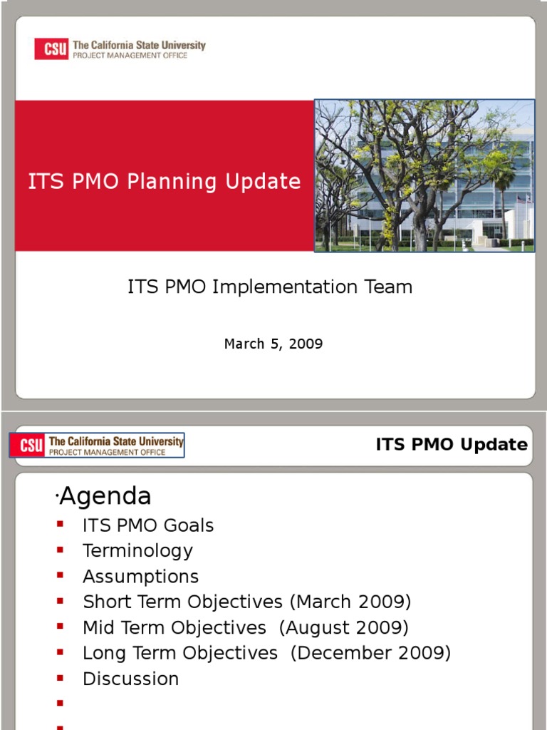 ITS PMO Planning | PDF | Project Management | Economies
