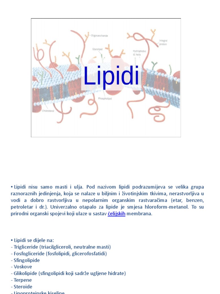 Lipidi | PDF