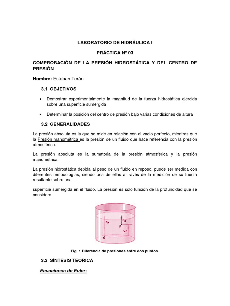 Presion Hidrostatica | PDF | Presión | Fuerza