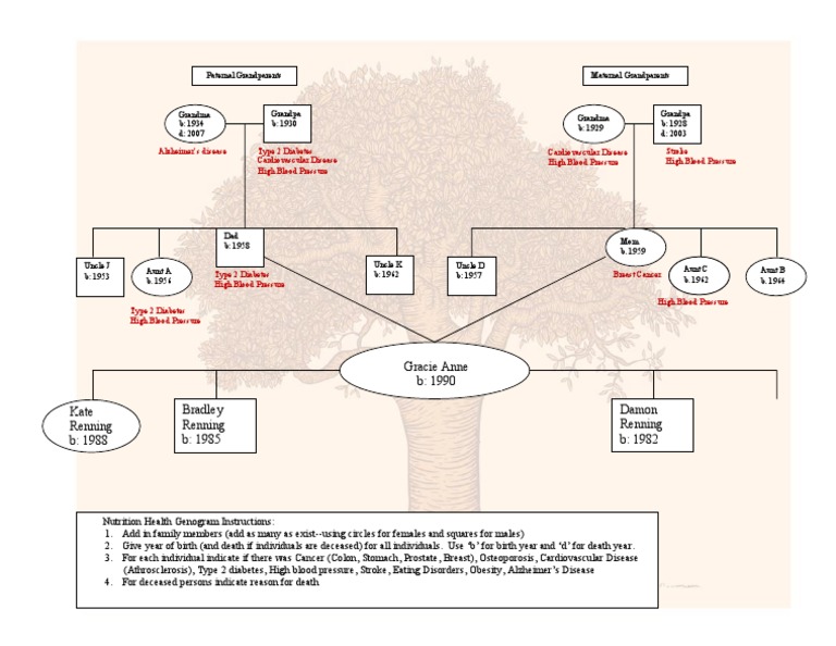 Example of Health Genogram | PDF | Diabetes Mellitus Type 2 | Diabetes ...