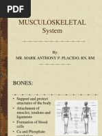 Musculoskeletal System Notes | PDF | Social Science | Science & Mathematics