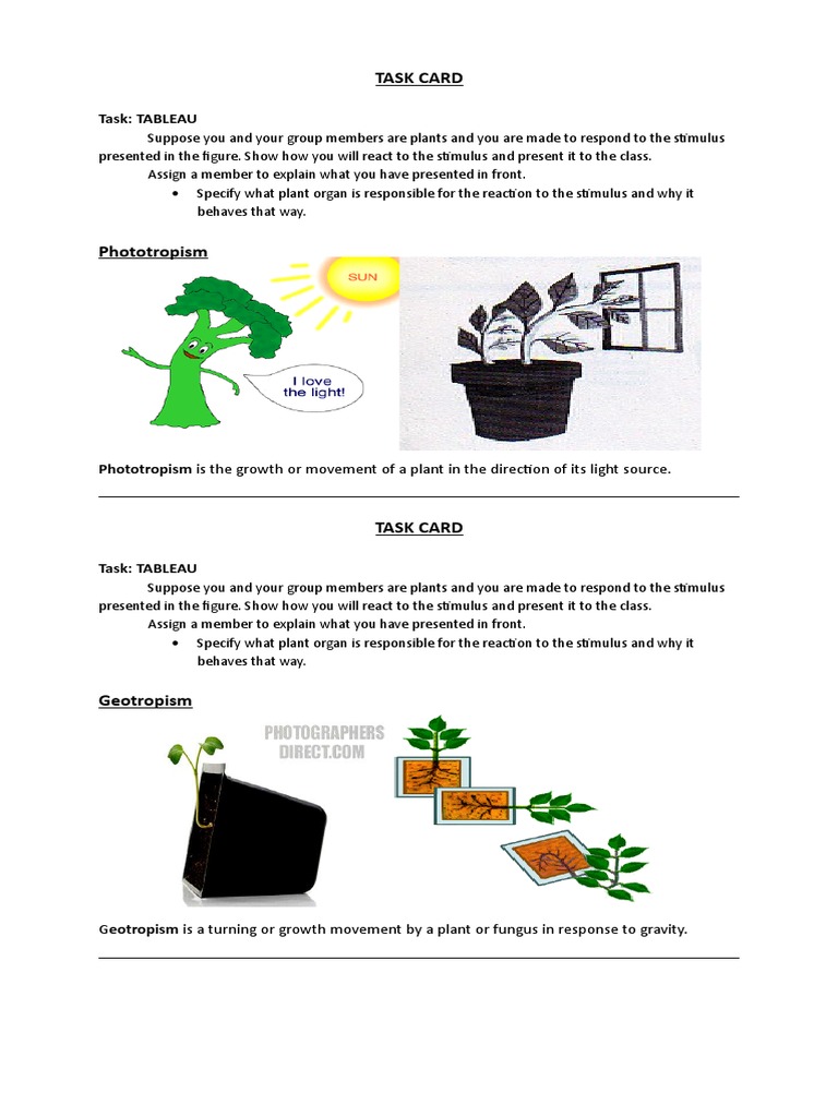 Tropism Worksheet