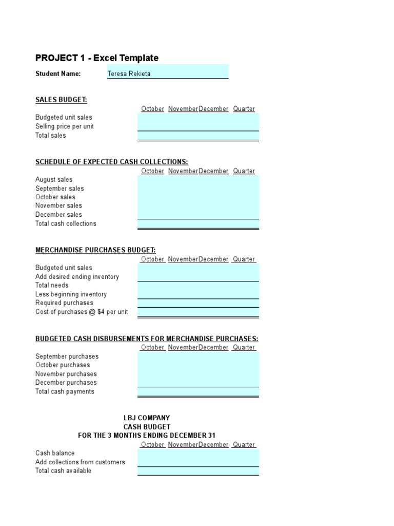 Project 1 Excel Template | PDF