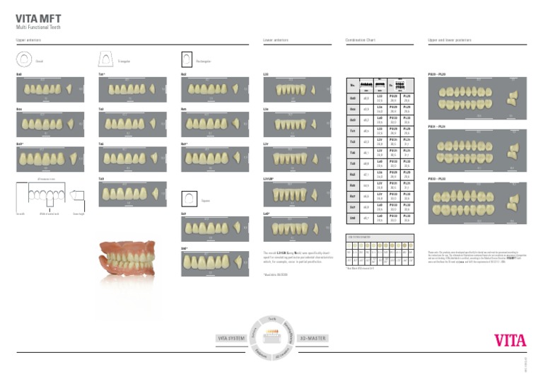 Vita MFT Forme I Oblici | PDF | Dentistry Branches | Mouth