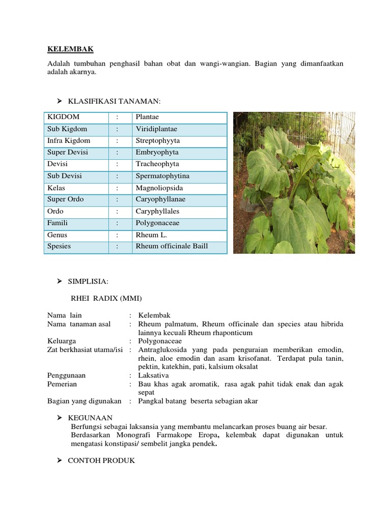Kelembak 1 | PDF
