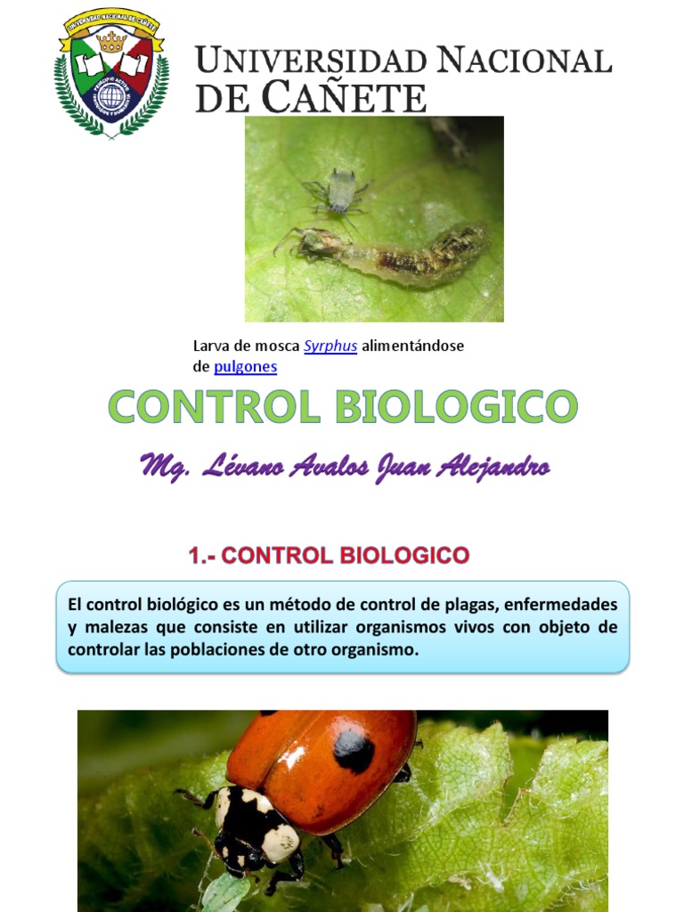 Diapositivas de Control Biologico | PDF | Insectos beneficiosos | Insectos