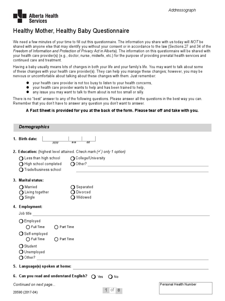 Healthy Mother, Healthy Baby Questionnaire: Demographics | PDF ...
