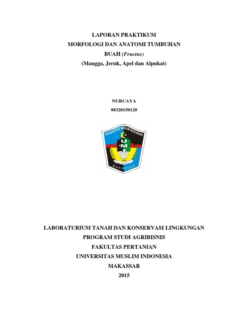 Laporan Praktikum Buah Dan Biji | PDF Laporan Praktikum Buah Dan Biji | PDF
