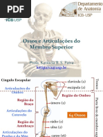 Articulação Do Ombro (Glenoumeral) Anatomia e Músculos Kenhub | PDF ...