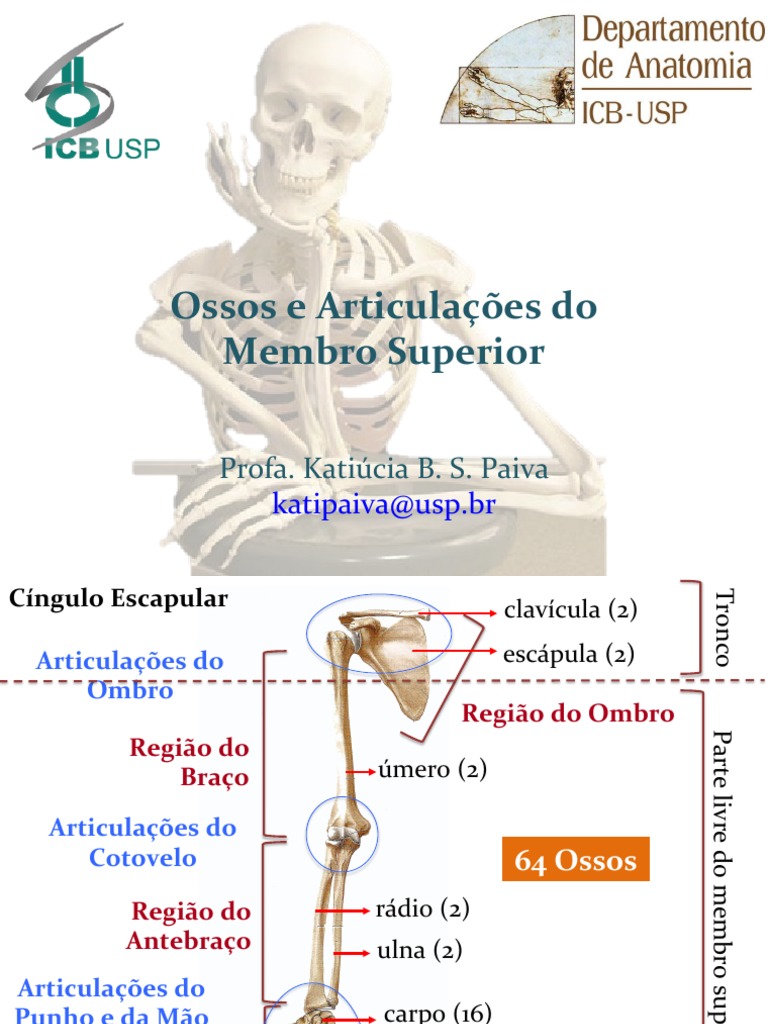 Ossos e Articulacoes Do Membro Superior | PDF | Cotovelo | Anatomia Humana