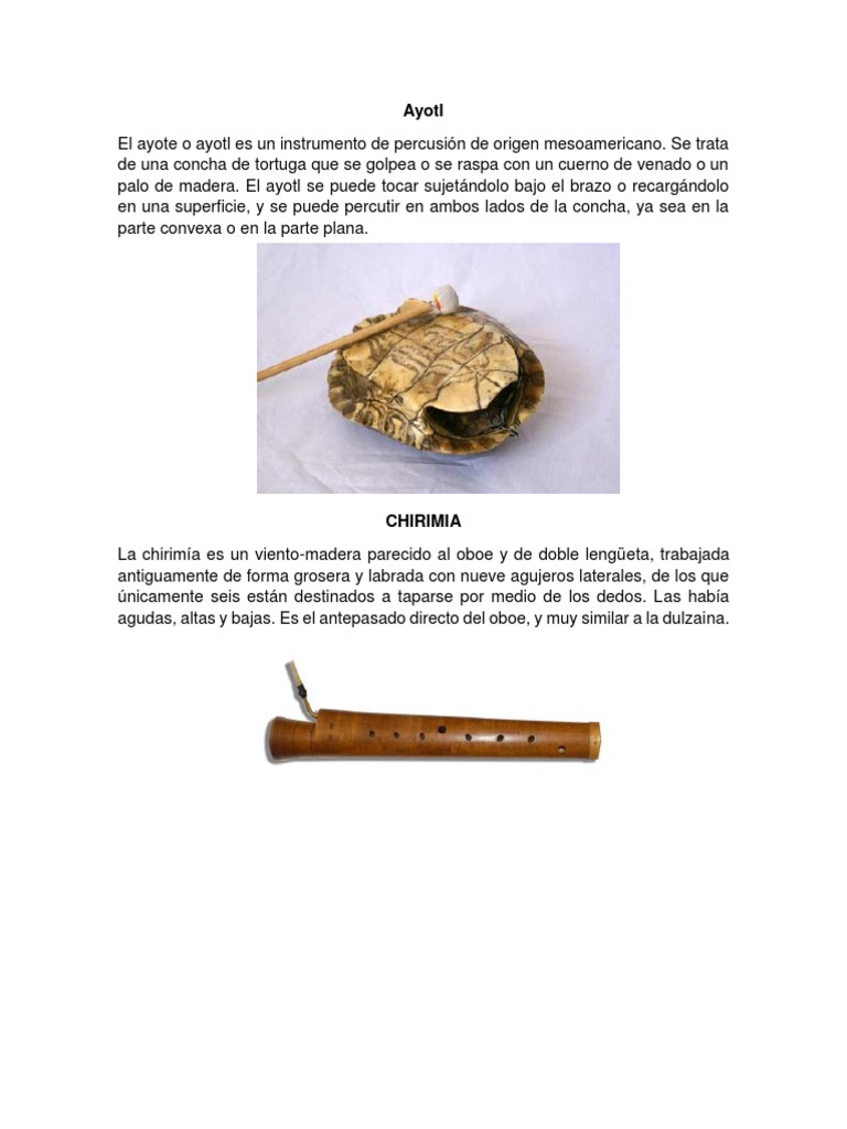 Instrumento musical ayotl de tortuga | PDF | Instrumentos musicales ...