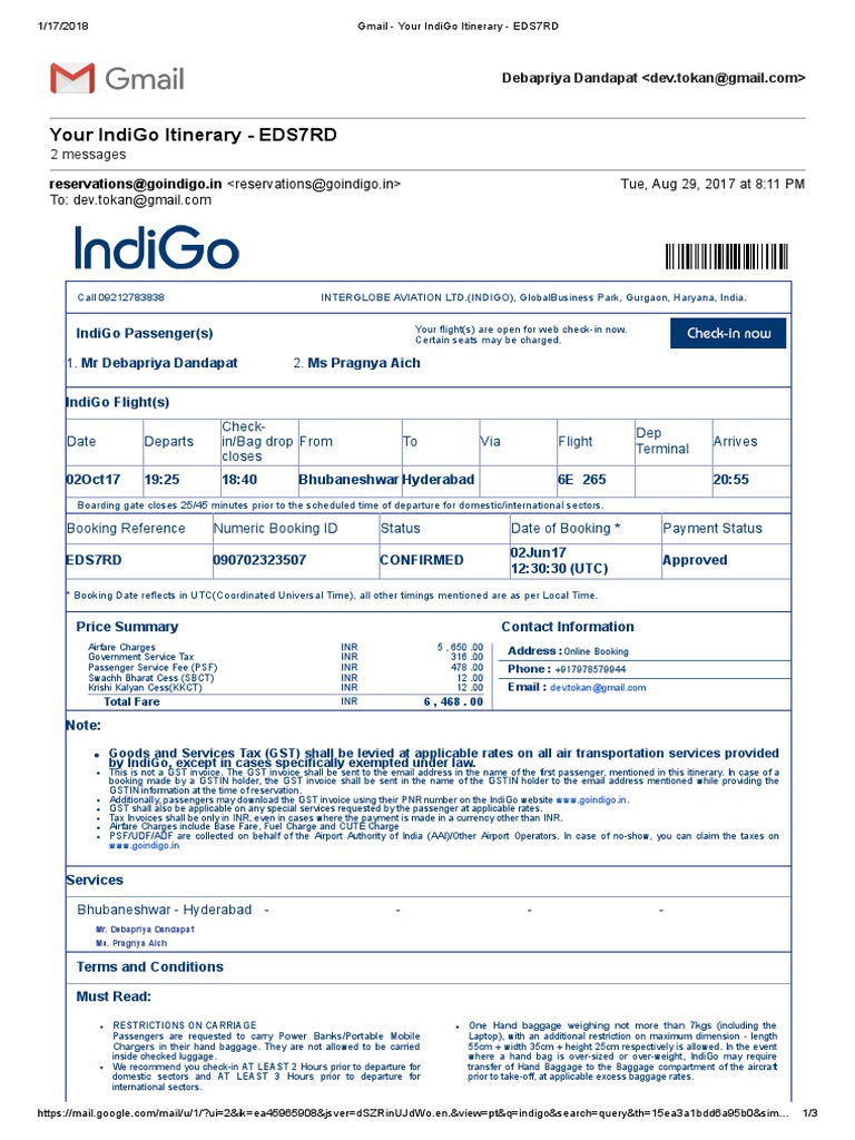 Indigo | PDF | Business