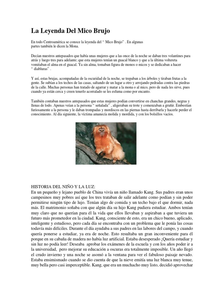La Leyenda Del Mico Brujo | Gatos | Ligero | Prueba gratuita de 30 días ...