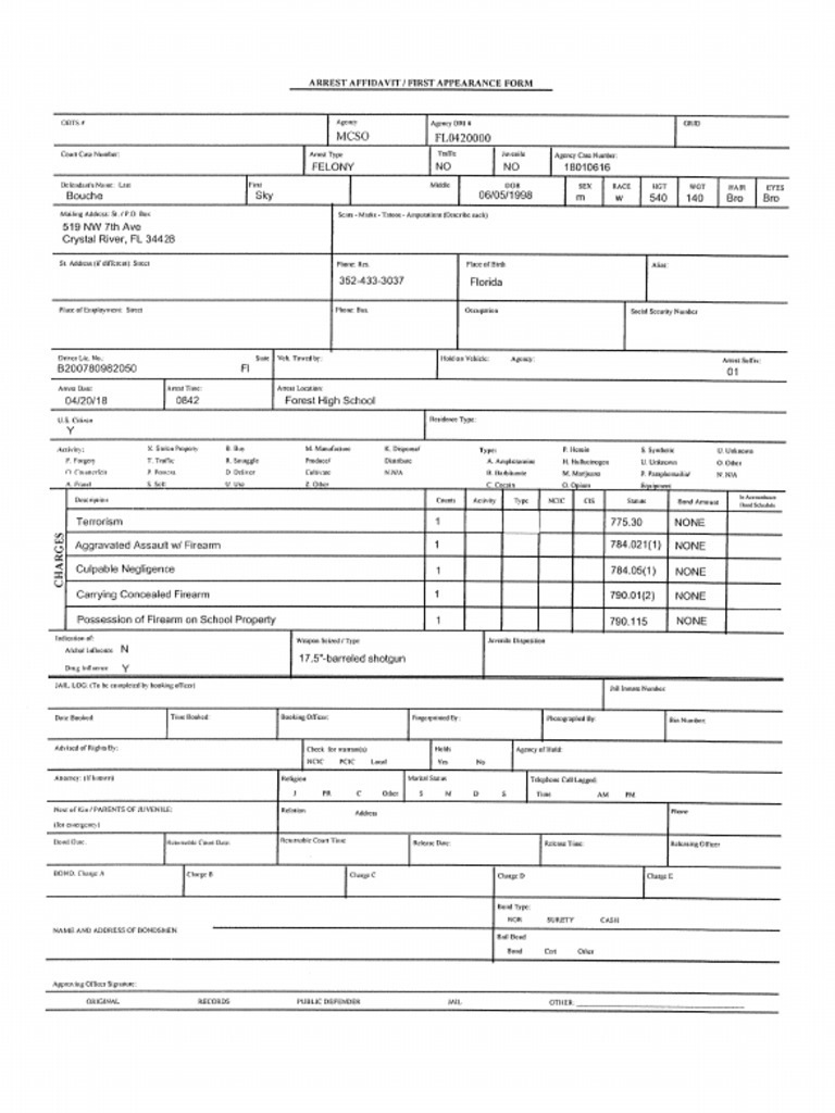 Sky Bouche Affidavit | PDF