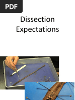 5 Second Rule Lab Write Up | PDF | Experiment | Scientific Method