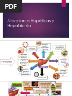 HEPAGRAS | PDF | Hígado | Bilis