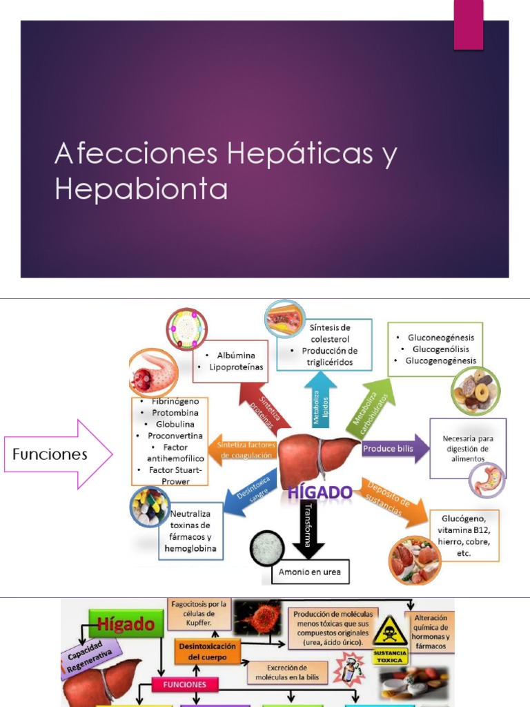 Afecciones Hepáticas y Hepabionta | Hepatitis | Cirrosis